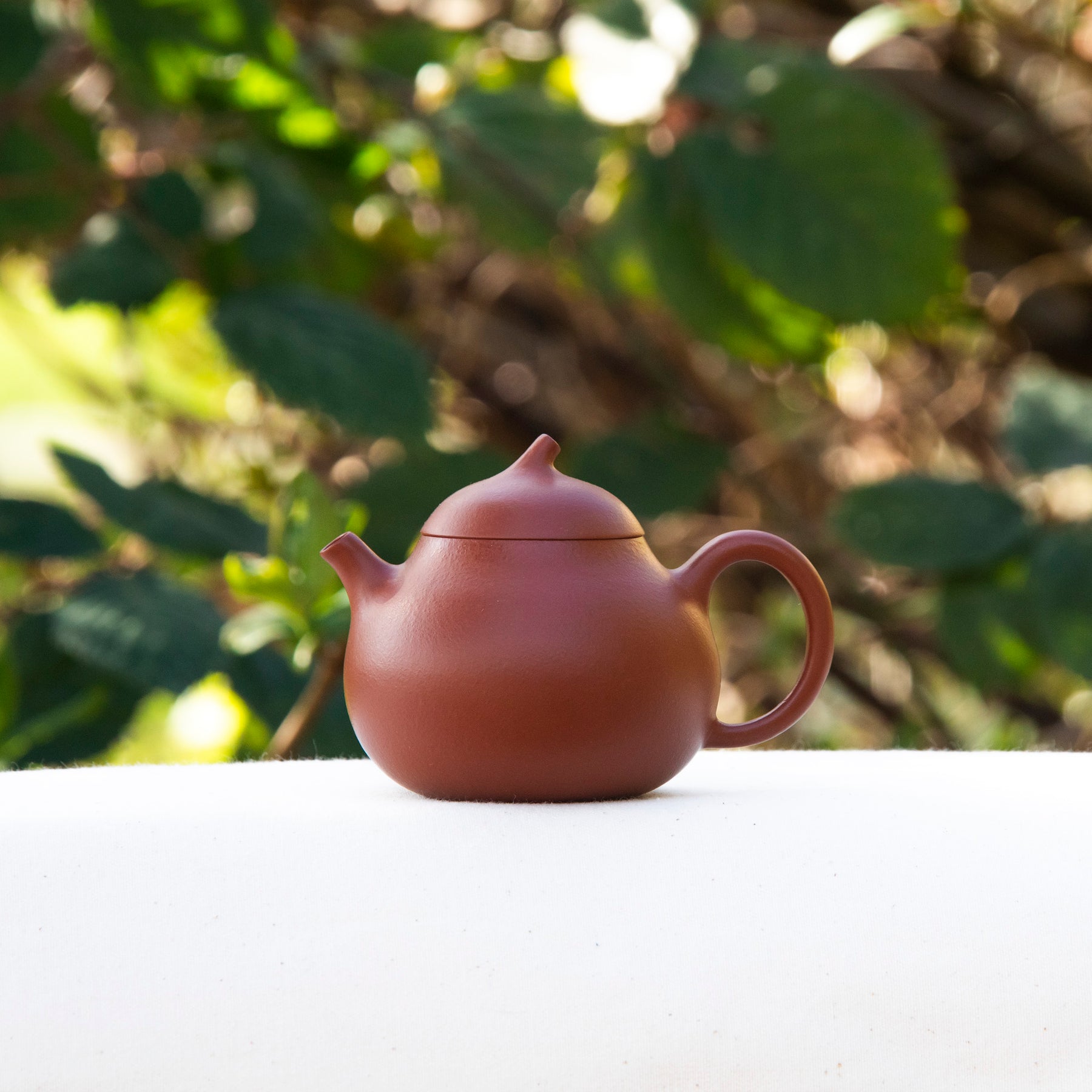 Chaozhou Teapots - The Chinese Tea Company