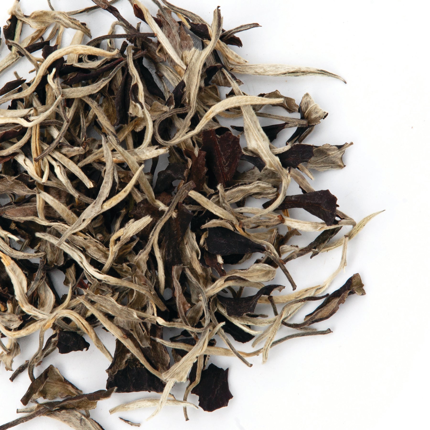 White Tea | The Chinese Tea Company