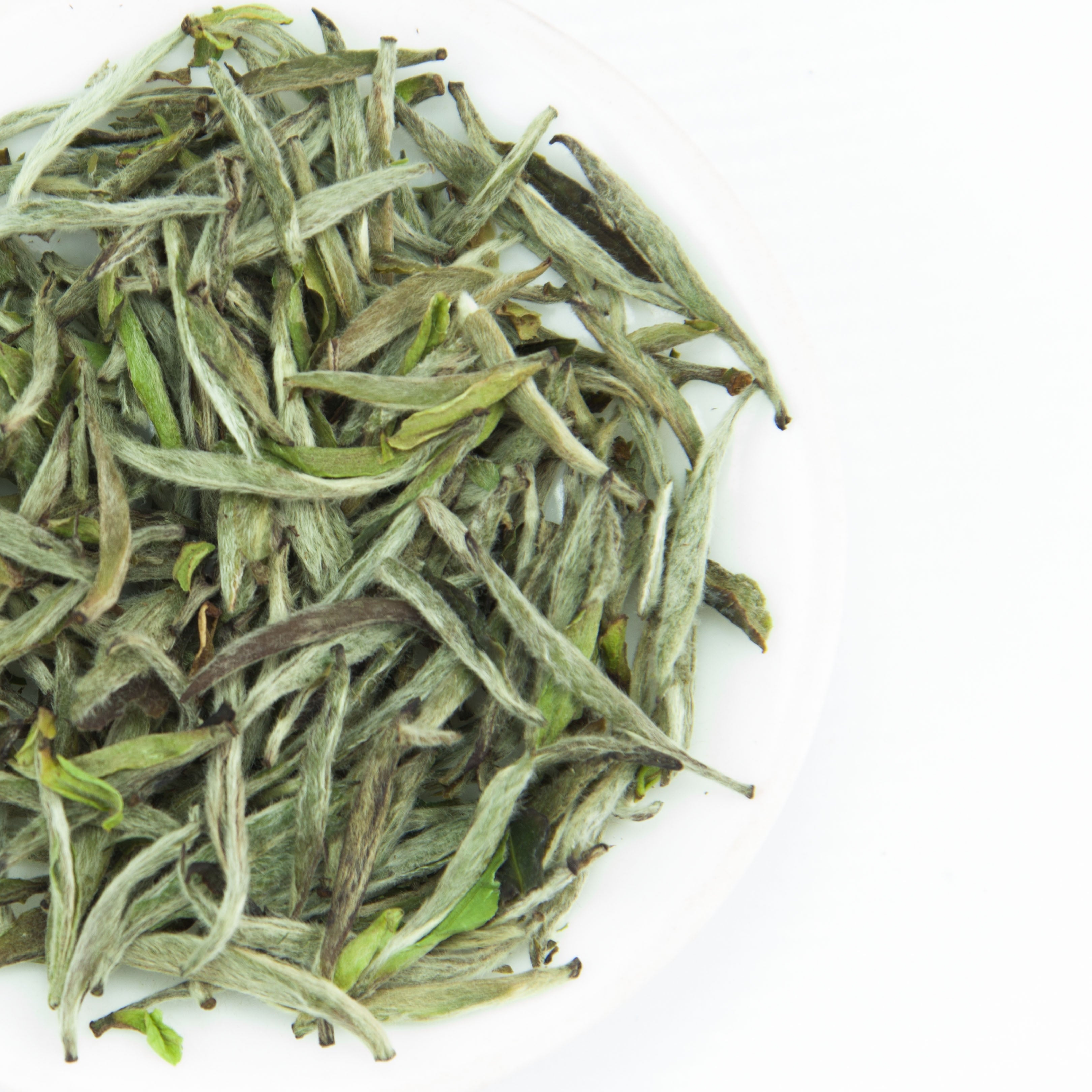 White Tea | The Chinese Tea Company